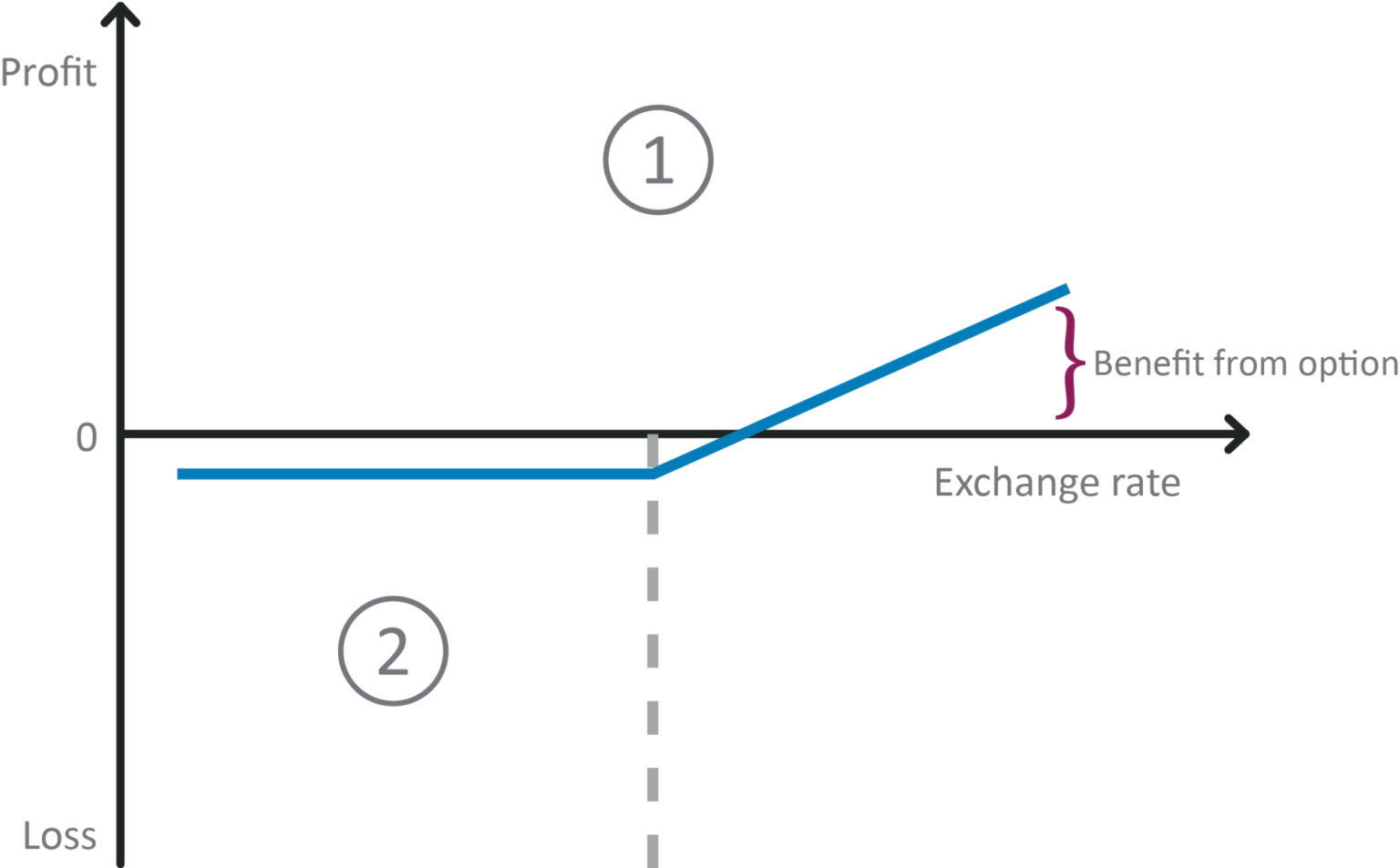 FX Option | Chatham Financial