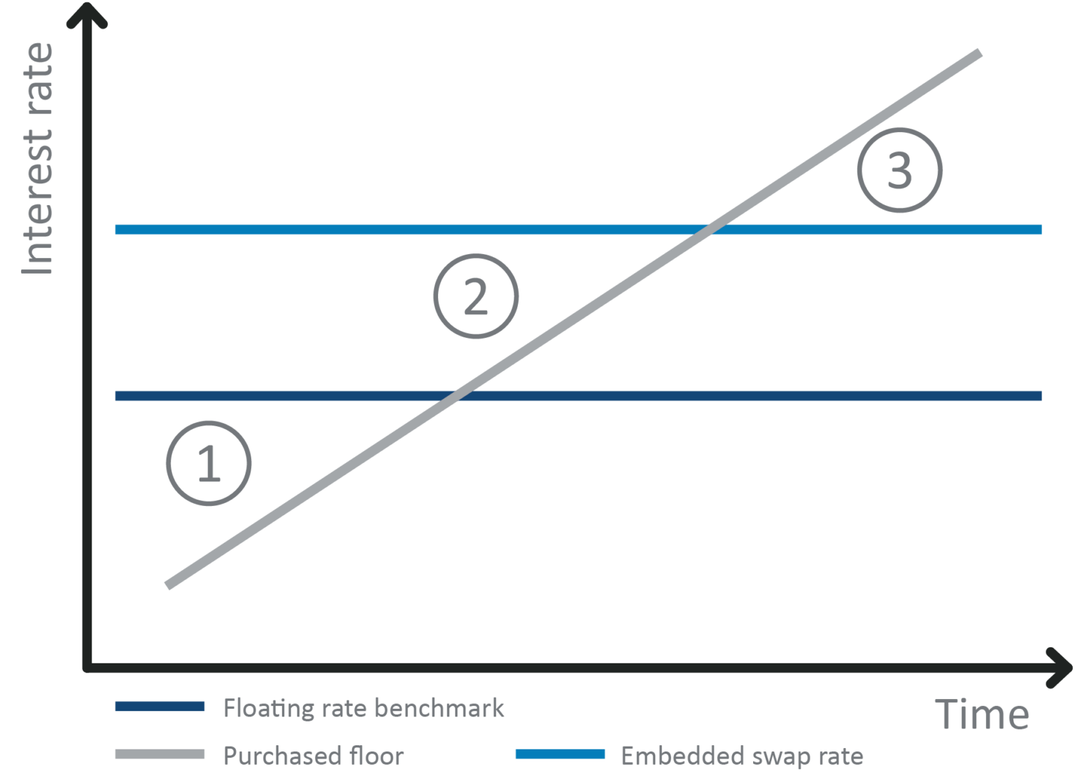 Interest Rate Swap and Floor | Chatham Financial