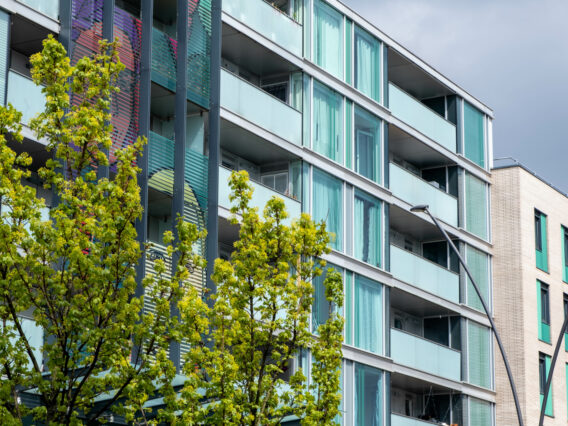 Insights | Chatham Financial